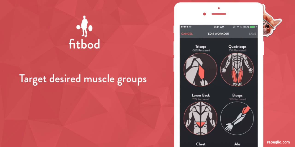 Revolutionize Your Fitness Journey with the Top Personal Trainer Apps ...